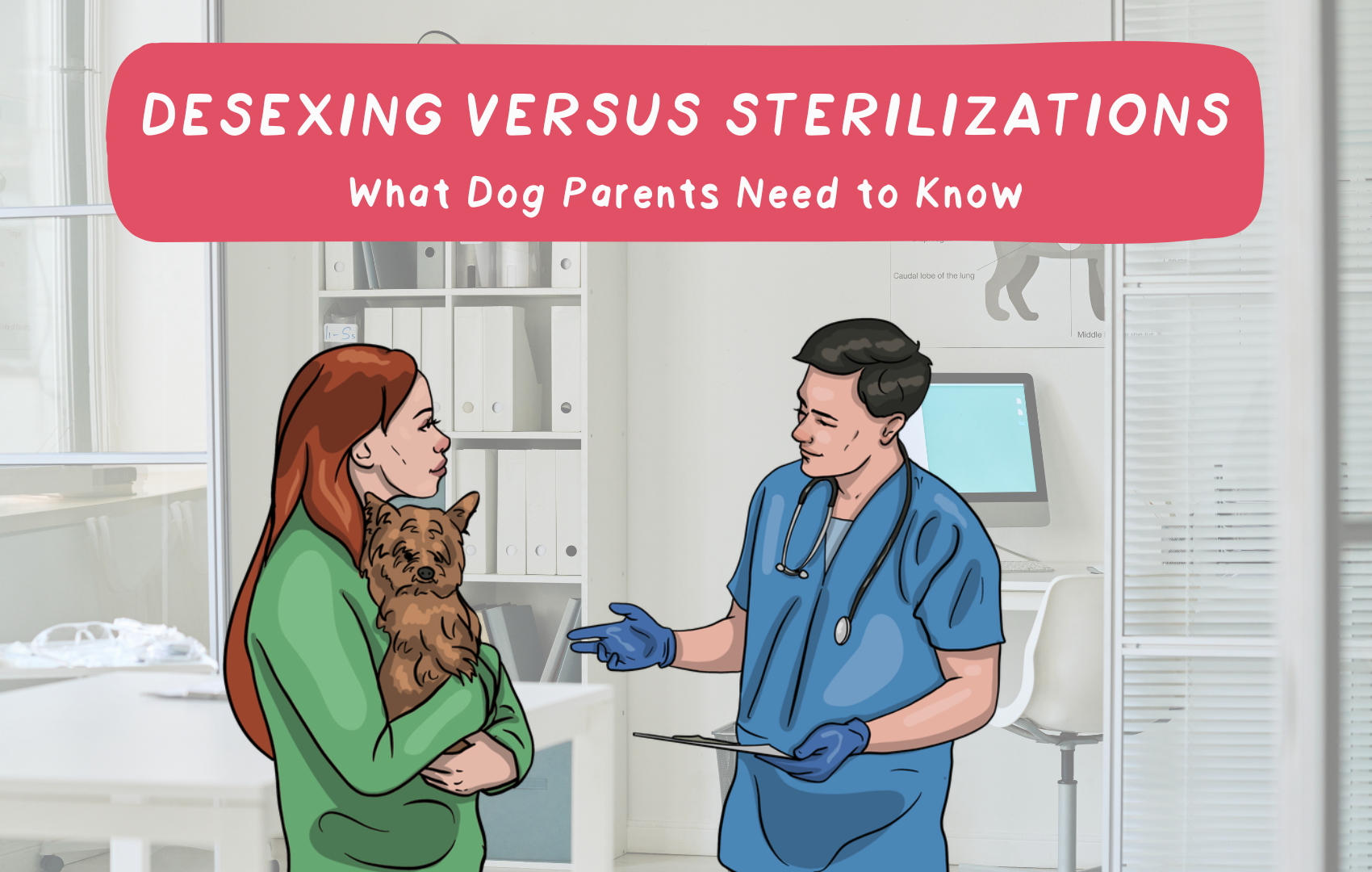 Desexing vs. Sterilization: Essential Insights for Dog Parents on Spay and Neuter Procedures
